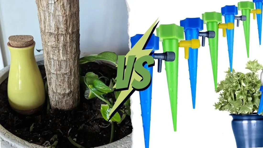 Olla Watering System vs. Cheap Spikes: Honest Review